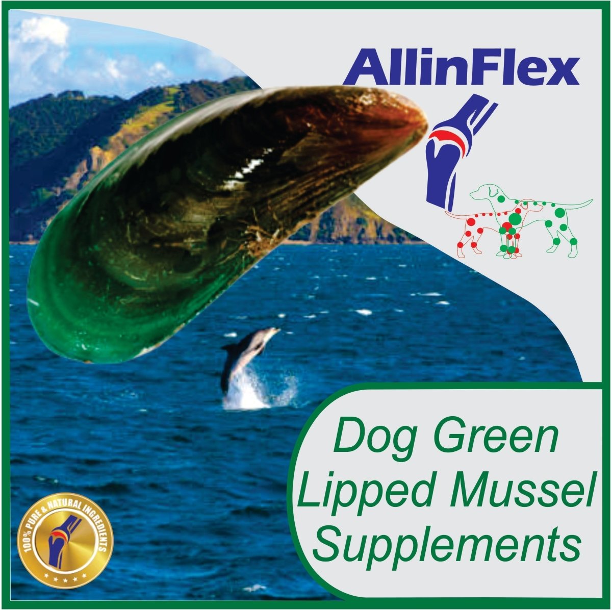 Natural Supplements for Dogs Joints| Green Lipped Mussel – Joint ...