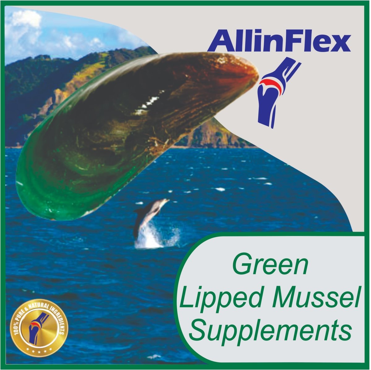 Green Lipped Mussel Premium Supplements – Joint Supplements for People ...