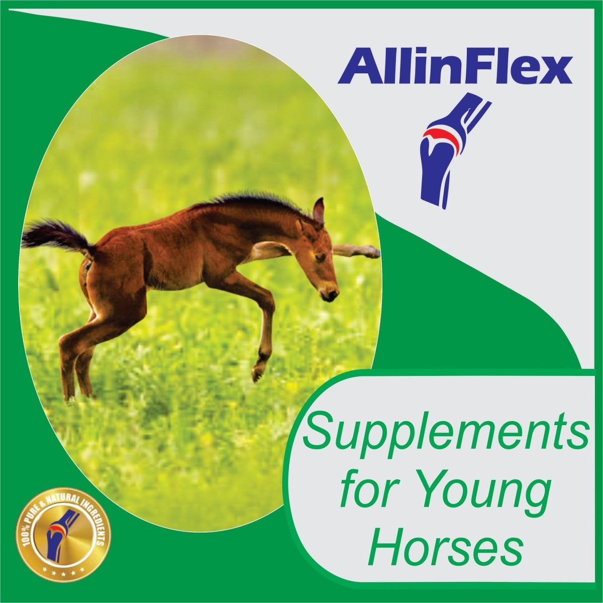Young Horse Supplements supporting the growth of healthy Bones and Joi ...